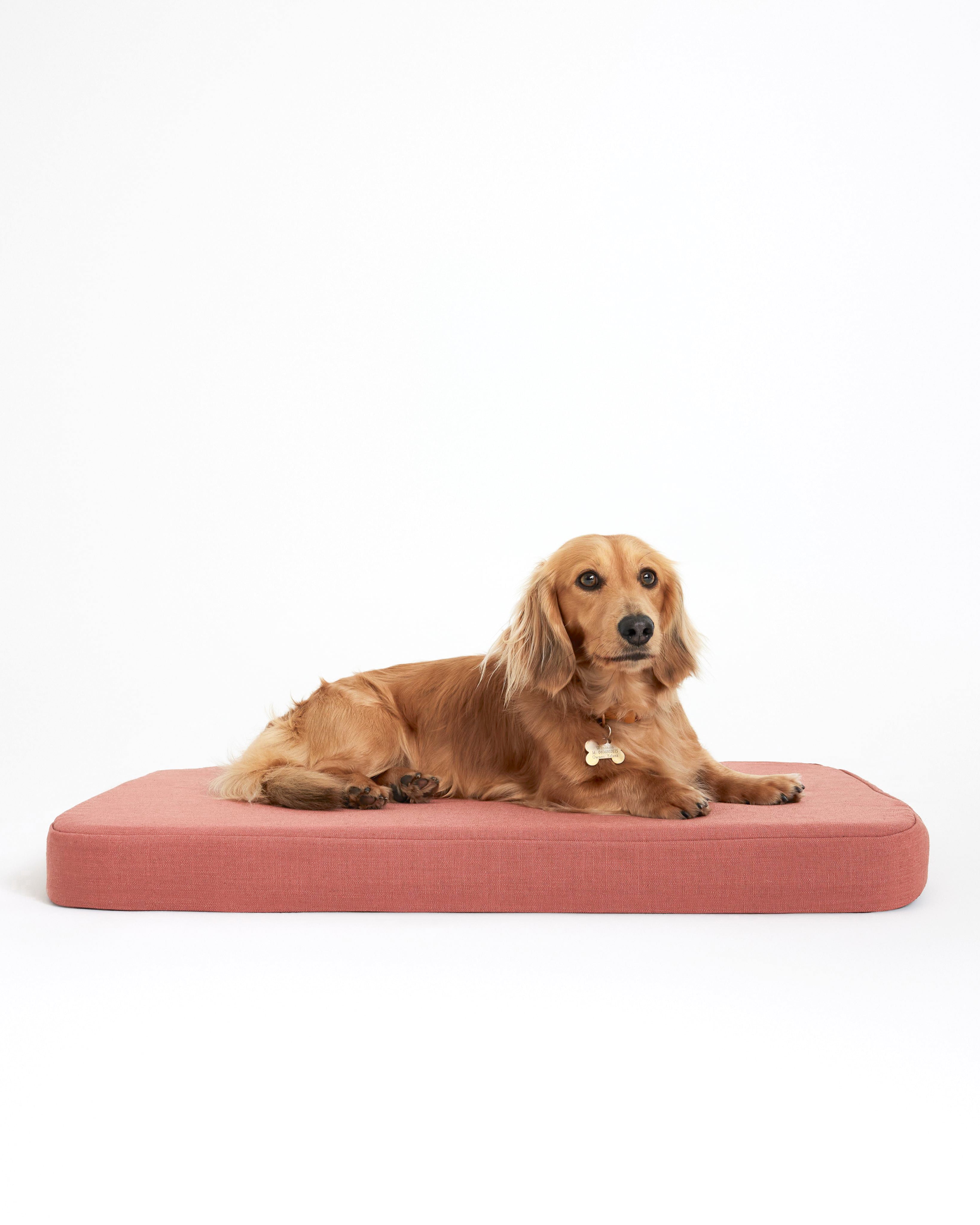 Flat Dog Bed - Red Clay Linen | Luxury Linen & Boucle Dog Beds – Koozi Pets
